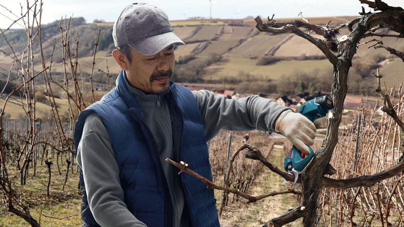 Pro Pruner Cordless Secateur | Bosch Professional