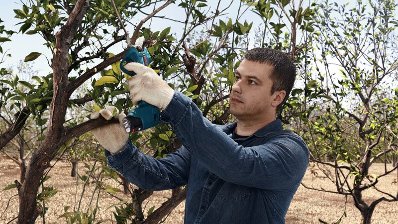 Pro Pruner Cordless Secateur | Bosch Professional