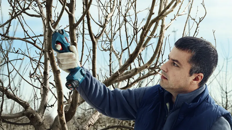 Pro Pruner Cordless Secateur | Bosch Professional